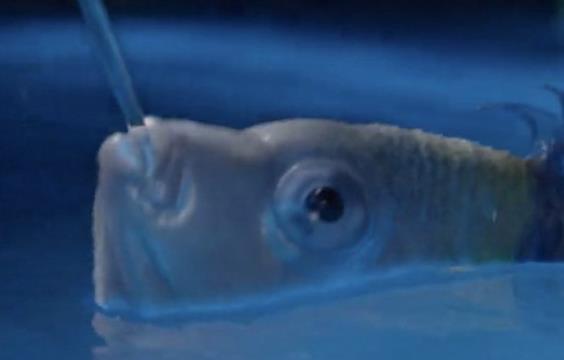 THE LITTLE MERMAID TV Spot Teases Ariel's New Song And Gives Us A First ...
