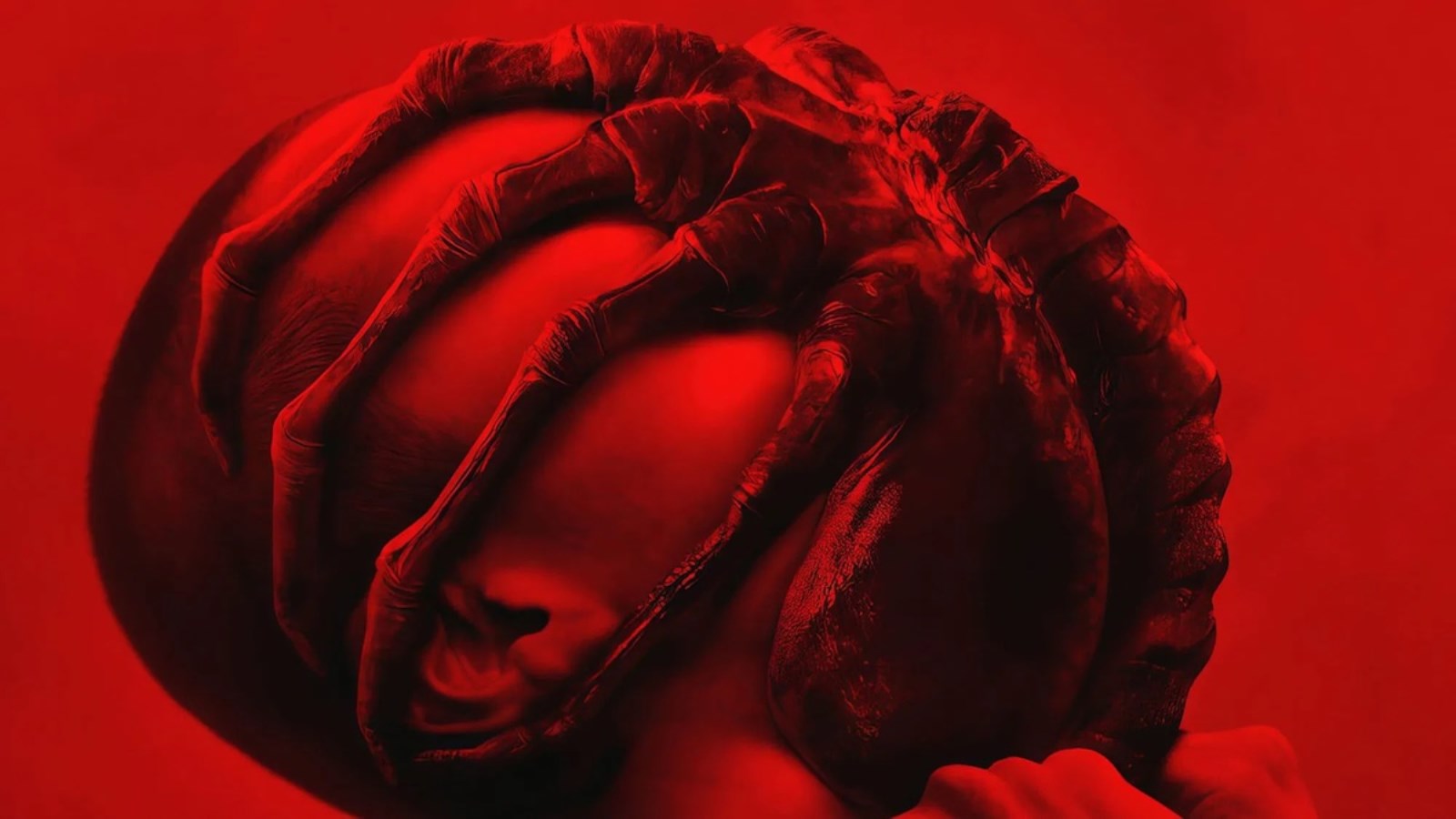 ALIEN: ROMULUS Sequel May Have Finally Found Its Director Following ...